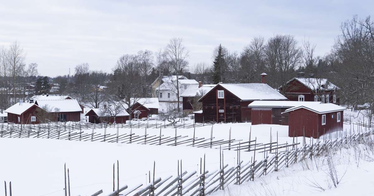KAMUn suosio nousi uuteen 165 000 kävijän ennätykseen | Espoon kaupunki